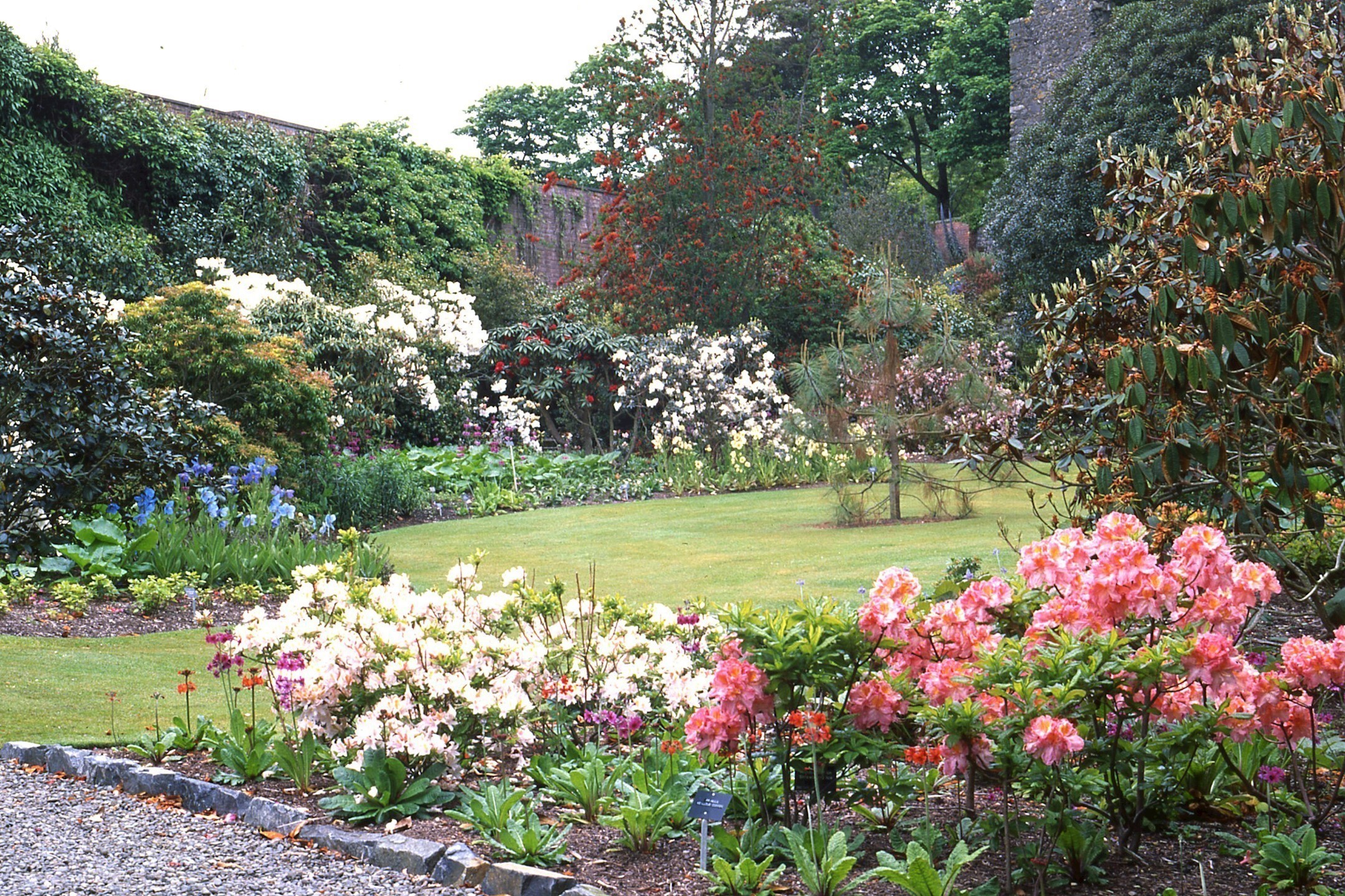 Seasonal Highlights | Royal Botanic Garden Edinburgh