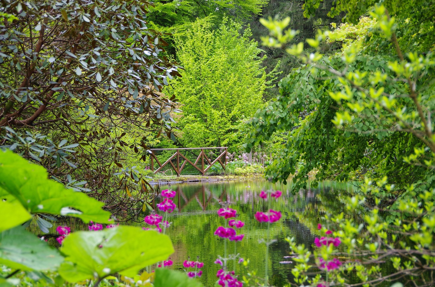 Benmore Botanic Garden | Visit | Royal Botanic Garden Edinburgh