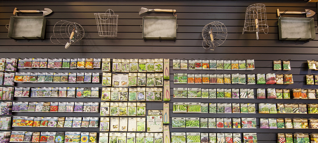 The Botancis Shop | Royal Botanic Garden Edinburgh